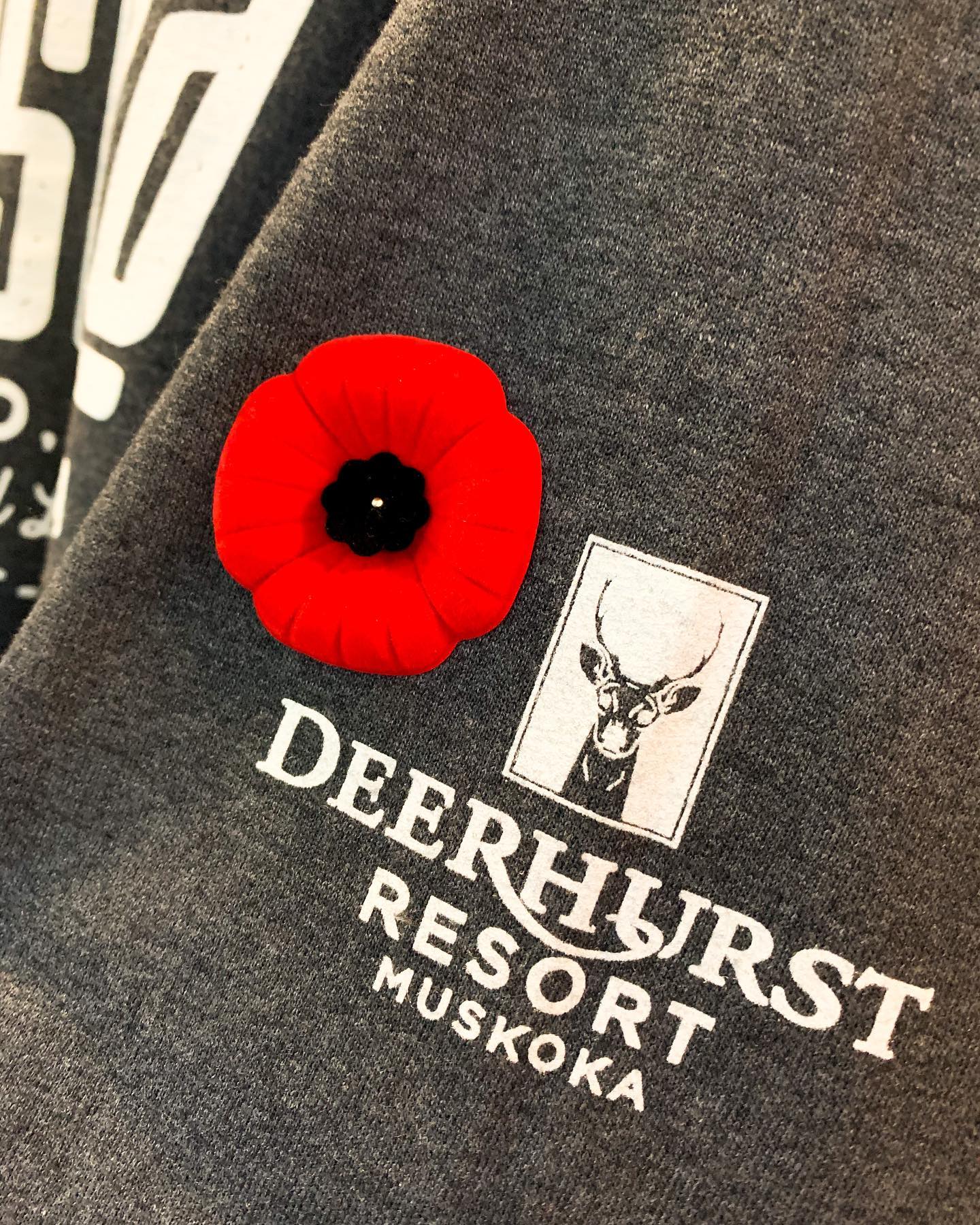 Deerhurst Resort Deals - Muskoka Vacation and Conference Retreat ...